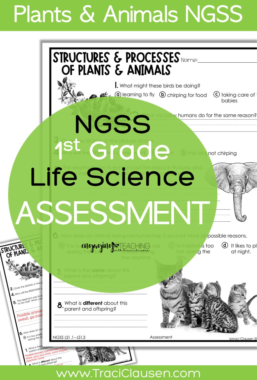 First Grade NGSS Life Science – Plants and Animals – Traci Clausen ...